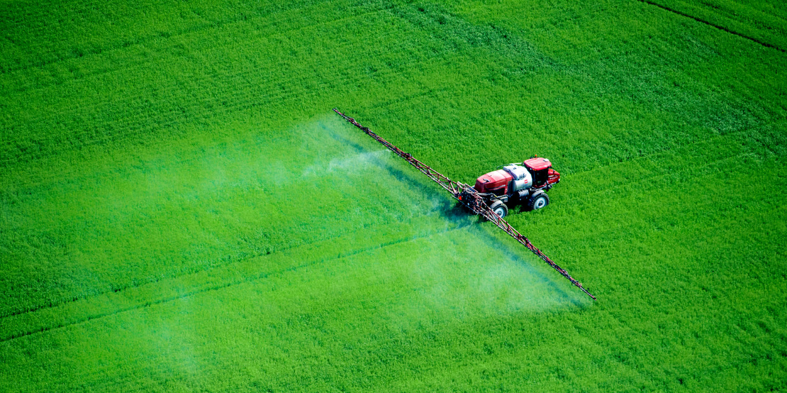 Classification of Pesticides and Their Main Types | VEG international